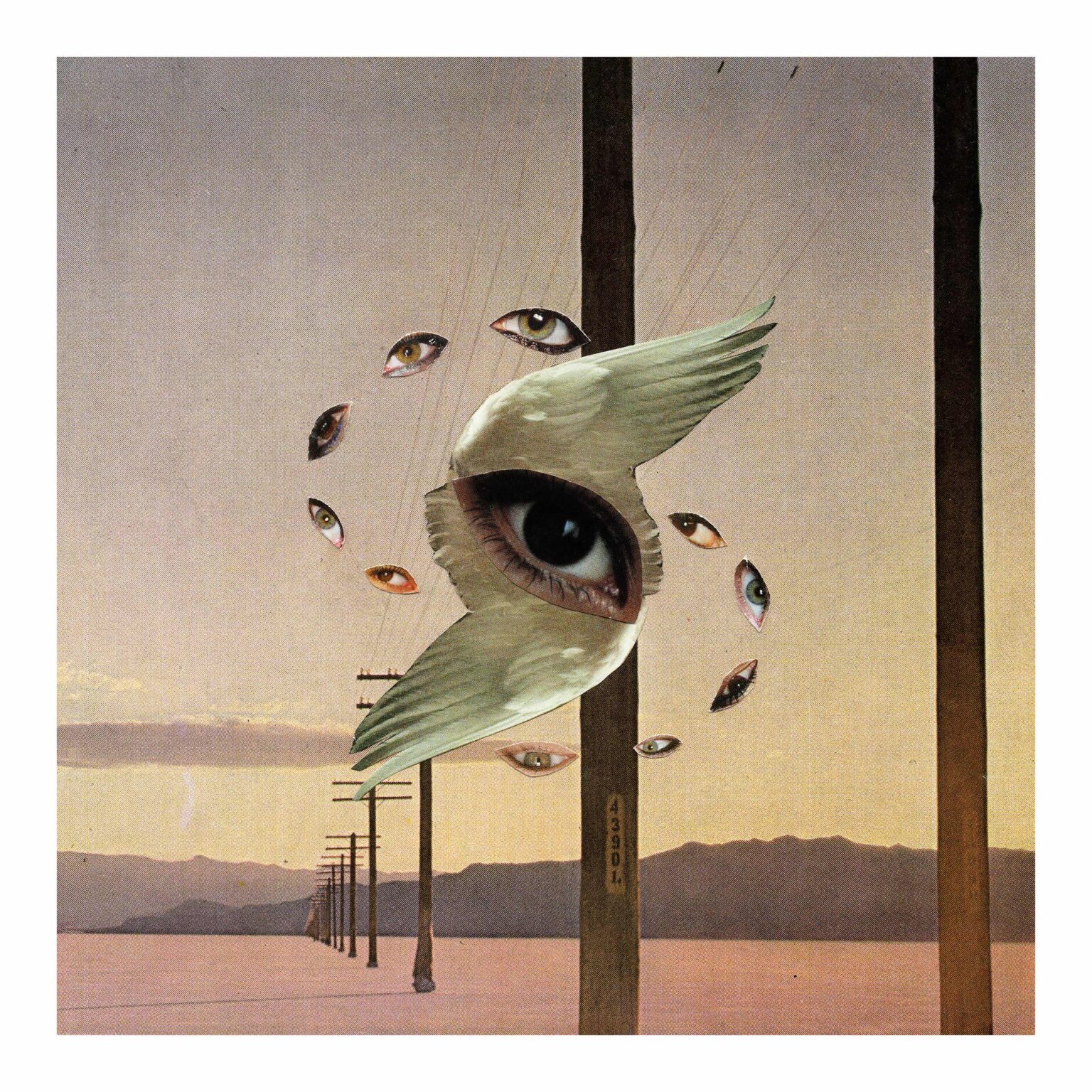 Ryder Havdale – Best Mornings | MOORWORKS